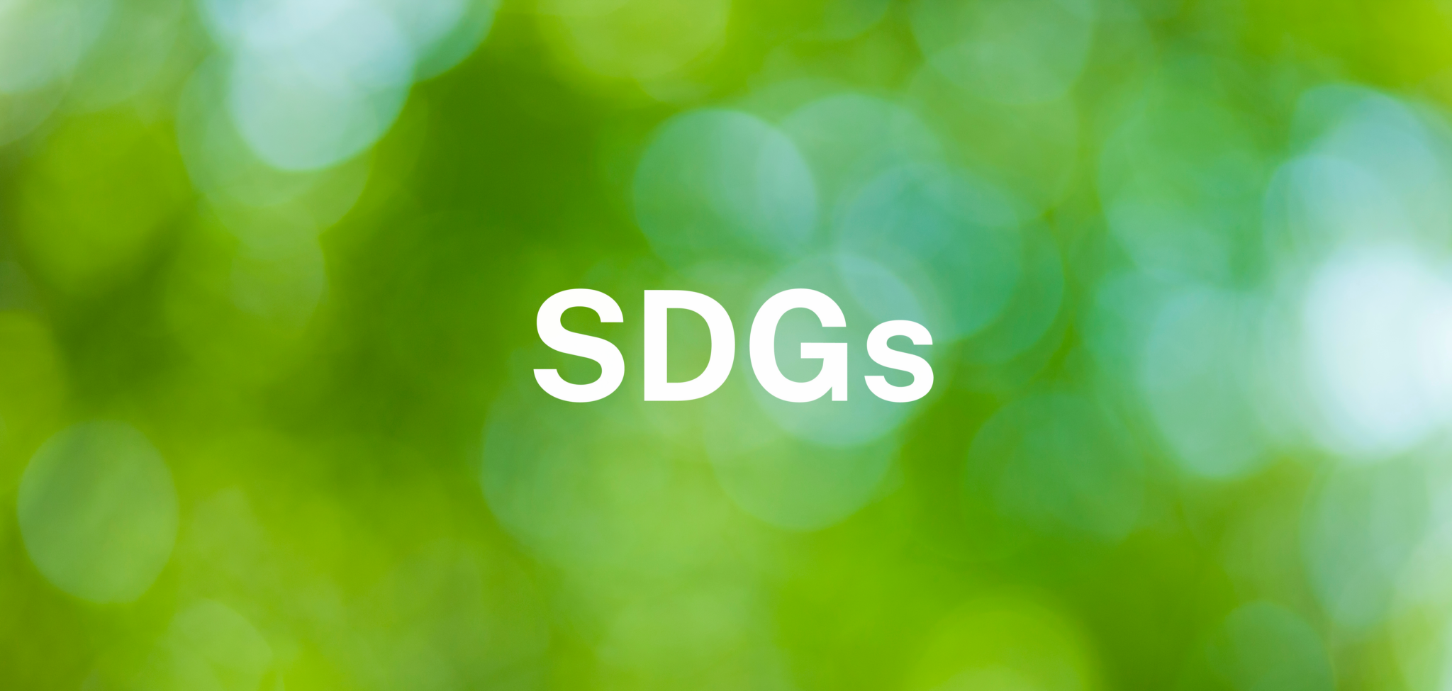 SDGs - 皮革製品OEM | worker bee 合同会社